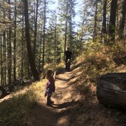 MINERAL RIDGE SCENIC TRAIL - 38 Photos & 10 Reviews - Hiking - 8702 ...