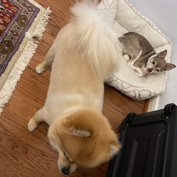 WOOF GANG BAKERY & GROOMING GLEANNLOCH FARMS - Updated November 2025 ...