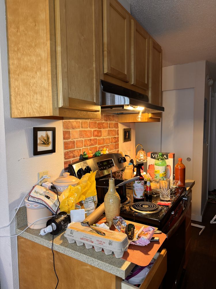 GREEN GAL CLEANING - Updated April 2025 - 37 Photos - Seattle ...