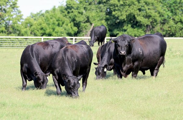 EXPRESS RANCHES - Updated December 2025 - 34 Photos - 2202 N 11th St ...