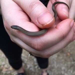 Mammoth Cave National Park - 925 Photos & 295 Reviews - Parks - 1 ...
