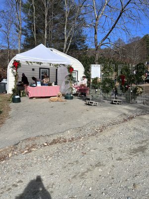 GREENE FAMILY TREE FARM - Updated November 2024 - 6989 Junaluska Rd ...