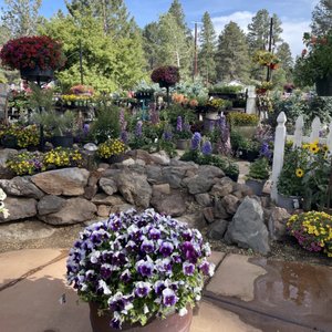 VIOLA’S FLOWER GARDEN - 118 Photos & 43 Reviews - 610 S State Rte 89A ...