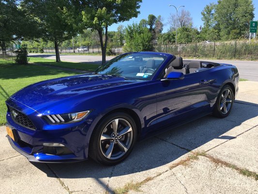 BASIL FORD - Updated October 2025 - 15 Photos & 58 Reviews - 1540 ...