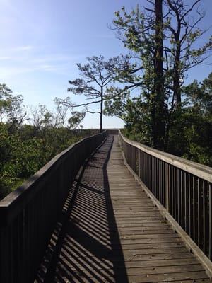 CURRITUCK NATIONAL WILDLIFE REFUGE - Updated April 2024 - Corolla ...