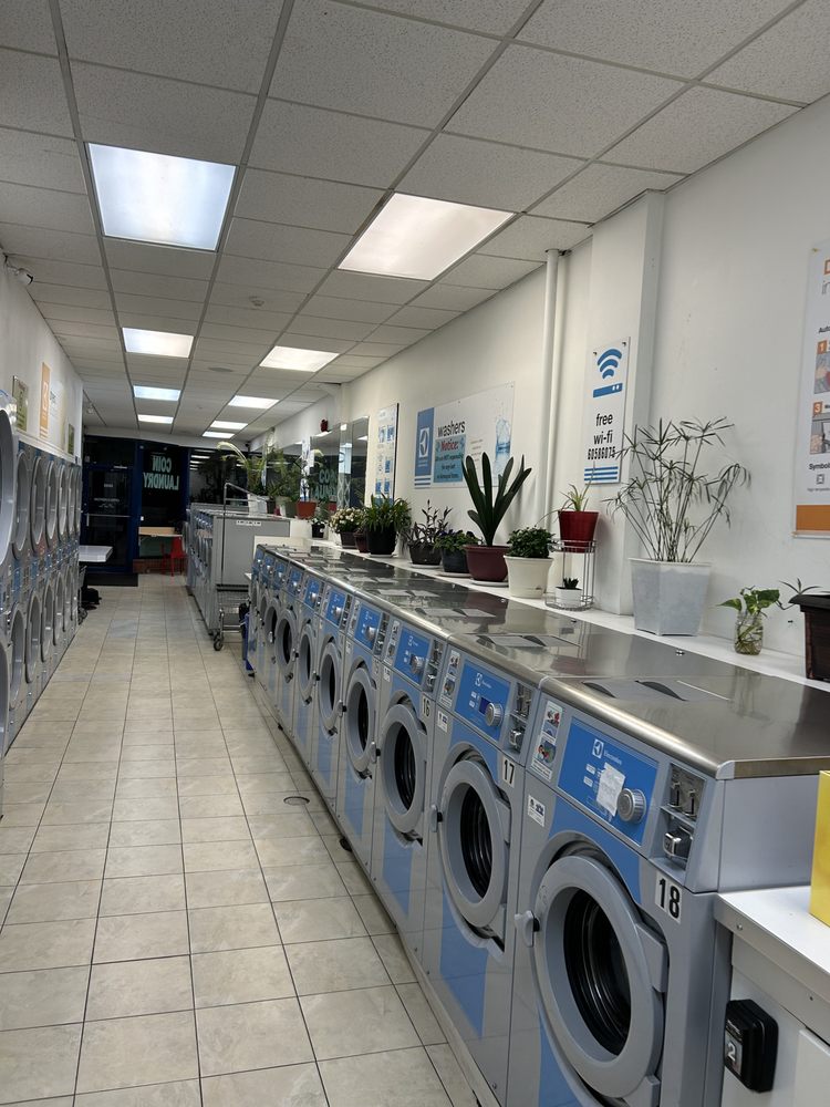 2194 LAUNDRY - Updated December 2025 - 2194 Dundas Street W, Toronto ...
