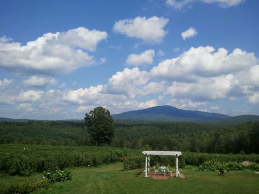 MONADNOCK BERRIES - Updated July 2025 - 12 Photos & 12 Reviews - 545 W ...