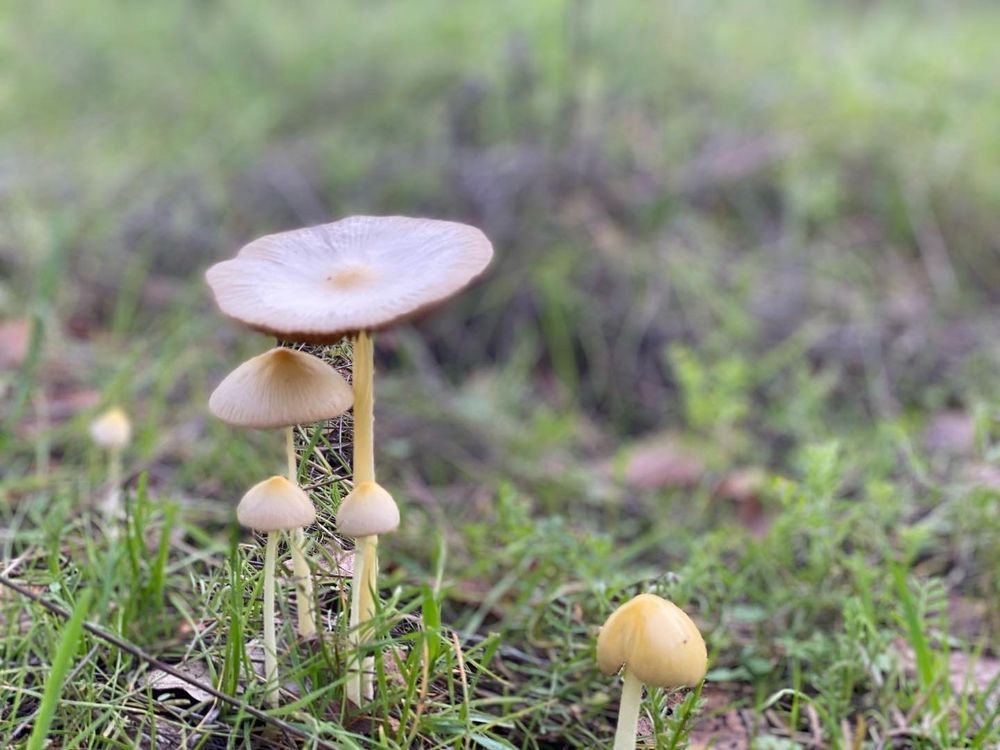 SHELL RIDGE OPEN SPACE - 318 Photos & 58 Reviews - 1035 Castle Rock Rd ...