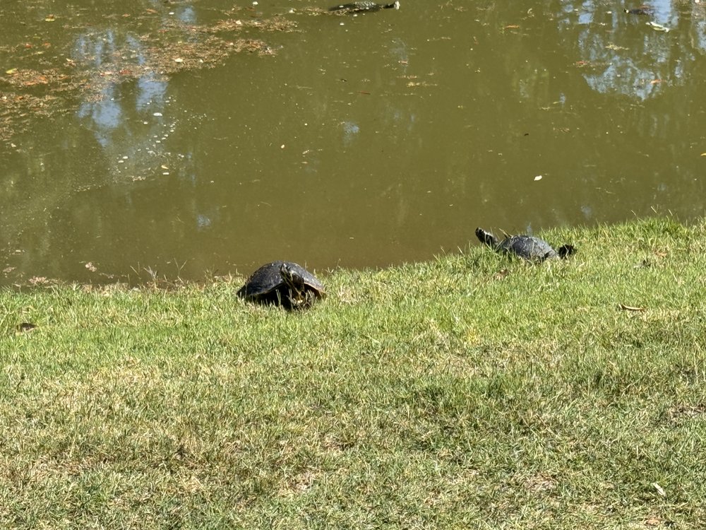 PORT O’CALL RESORT - Updated January 2026 - 30 Photos & 10 Reviews - 13 ...