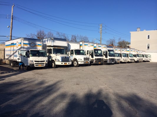 EXCELLENT QUALITY MOVERS - Updated October 2025 - 239 Photos & 706 ...