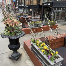 PIATTINI - Updated November 2025 - 937 Photos & 1158 Reviews - 226 ...