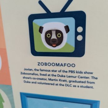 DUKE UNIVERSITY LEMUR CENTER - Updated December 2025 - 394 Photos & 85 ...