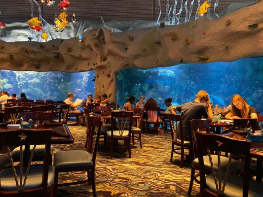 DIVE LOUNGE - Updated June 2025 - 207 Photos & 70 Reviews - 700 Water ...