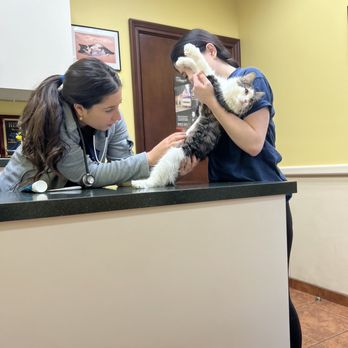 MANETTO HILL ANIMAL HOSPITAL - Updated October 2025 - 13 Photos & 41 ...