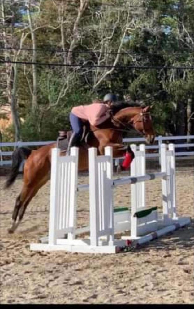 LEGACY STABLES CARVER - Updated September 2024 - 28 Photos - 4 East St ...