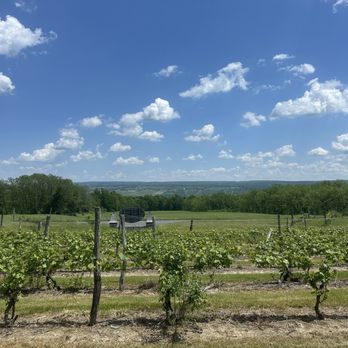 MAGNUS RIDGE WINERY - Updated October 2025 - 204 Photos & 123 Reviews ...