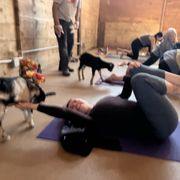 FERRARI FARMS - Updated October 2025 - 175 Photos & 68 Reviews - 4701 ...