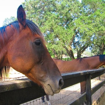 RUSTRIDGE RANCH & WINERY - Updated October 2025 - 13 Photos & 12 ...