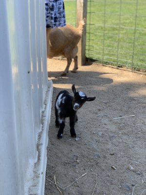 DAVIS FARMLAND - 111 Photos & 144 Reviews - 145 Redstone Hill Rd, Sterling, Massachusetts ...