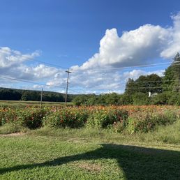 ROUGH CUT BBQ - Updated July 2025 - 33 Photos & 26 Reviews - 438 ...