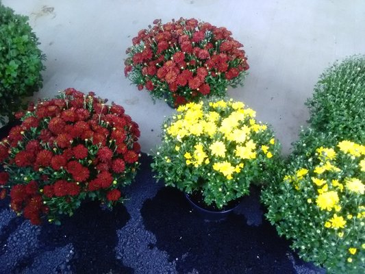 RHODES FARMER’S MARKET - 20 Photos - Fruits & Veggies - 12216 ...