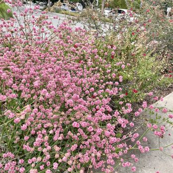 WATERWISE COMMUNITY CENTER - Updated October 2025 - 64 Photos & 15 ...