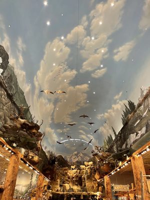 BASS PRO SHOP - Updated May 2025 - 57 Photos & 40 Reviews - 3046 ...