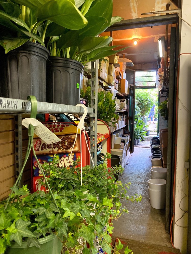 QUEENS FRUIT MARKET - Updated January 2025 - 18 Photos - 564 Queen St W ...