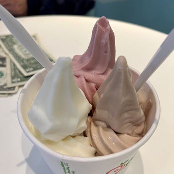 PINKBERRY - Updated January 2026 - 45 Photos & 42 Reviews - 2508 ...