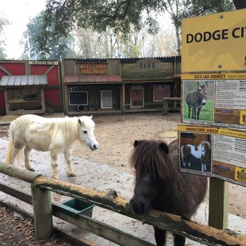 BEE CITY ZOO - Updated June 2024 - 375 Photos & 104 Reviews - 1066 ...