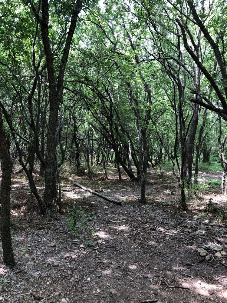 SEMMES LIBRARY PARK - Updated August 2025 - 12 Photos - 5806 Monte ...