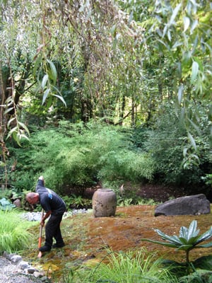 THE SPRINKLER GUY - Updated December 2025 - 13 Photos & 33 Reviews ...