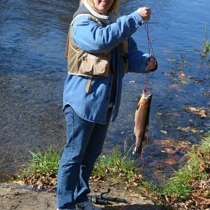 ROCKBRIDGE TROUT RANCH - 18 Photos - 4297 Co Rd 142, Rockbridge ...