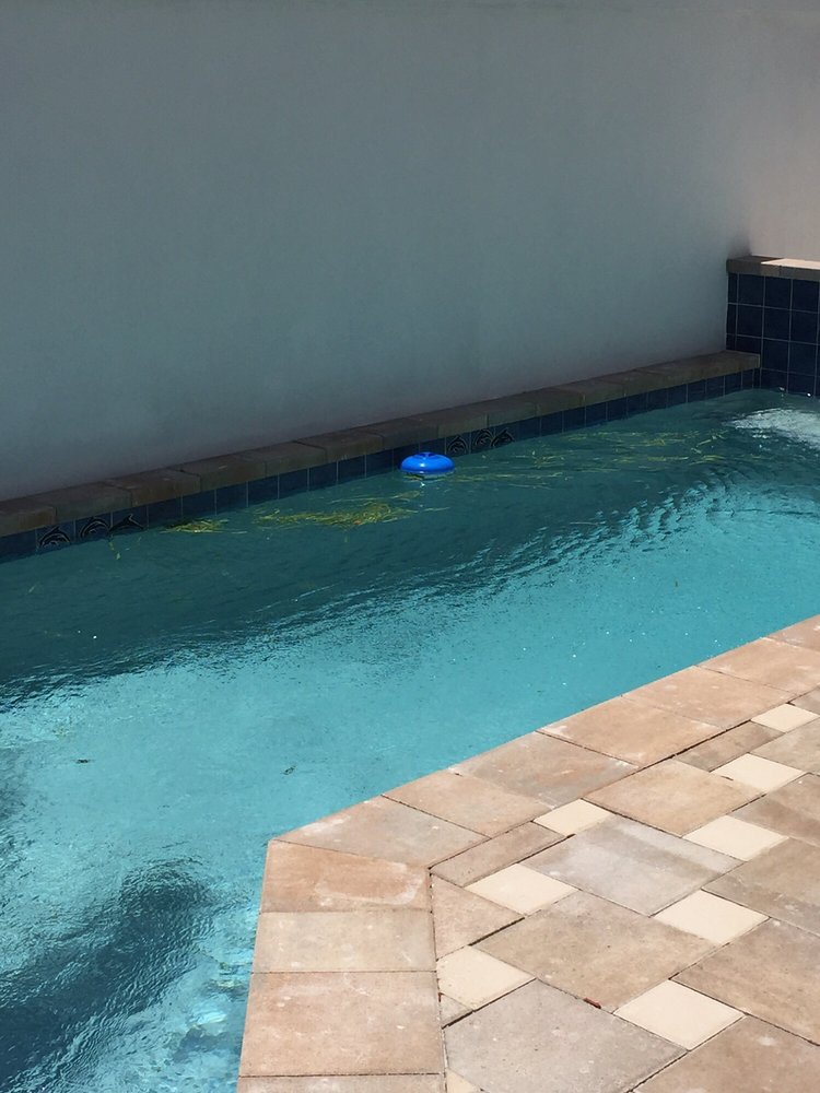 ROBIN LAWN CARE - Updated April 2025 - 12 Reviews - Boca Raton, Florida ...