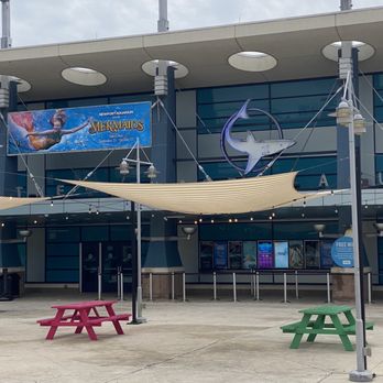 NEWPORT AQUARIUM - Updated February 2025 - 1113 Photos & 465 Reviews ...