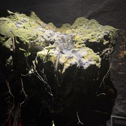 ARRAY 36 - Updated October 2025 - 2721 Photos & 764 Reviews - 5449 Rosemead Blvd, San Gabriel ...