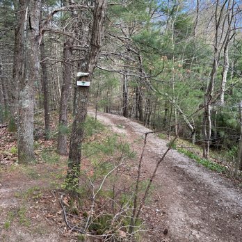 MASSASOIT STATE PARK - Updated December 2025 - 38 Photos & 22 Reviews ...