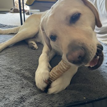 PETSMART - Updated October 2025 - 59 Photos & 135 Reviews - 575 Rohnert ...