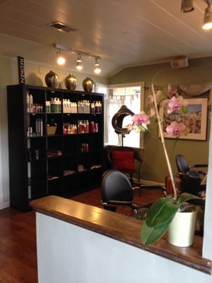 SALON LISA LISA - Updated August 2025 - 57 Reviews - 179 Main St, Los ...