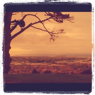 POINT VIEW RESERVE - Updated June 2024 - 111 Point View Drive, Auckland ...