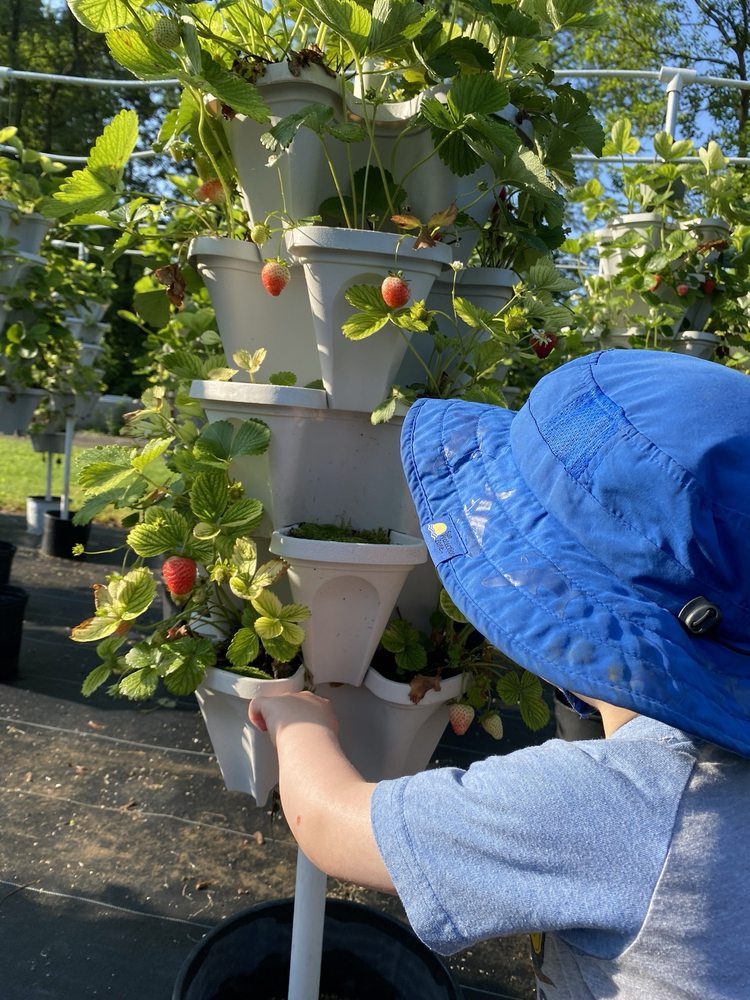 DRIVING WIND FARM - Updated June 2025 - 166 Photos & 23 Reviews - 6410 ...