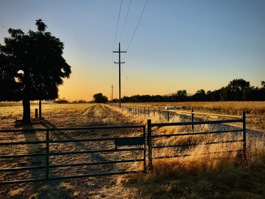 SYCAMORE GROVE PARK - Updated May 2024 - 358 Photos & 81 Reviews - 1224 ...