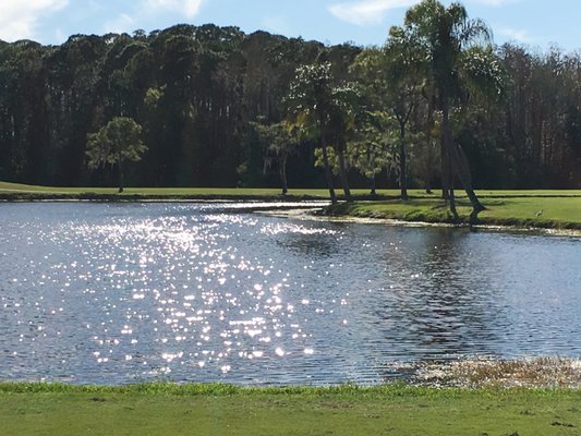 SEVEN SPRINGS GOLF AND COUNTRY CLUB - Updated June 2026 - 16 Photos ...