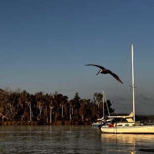 SUNCOAST SCALLOPING - Updated August 2025 - 23 Photos - 1 SW 1st Pl ...