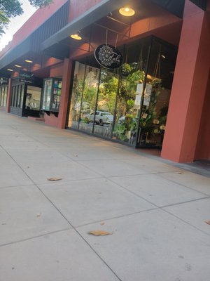 TULA YOGA - Updated December 2025 - 58 Photos & 97 Reviews - 2706 Main ...