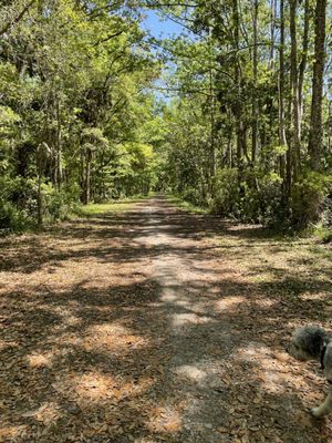 NOCATEE PRESERVE TRAIL - Updated April 2025 - 34 Photos - 501 Davis ...