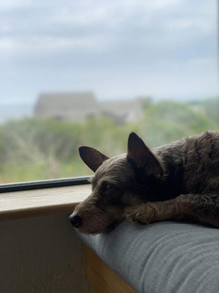 SEA RANCH ESCAPE VACATION RENTALS - Updated December 2025 - 11 Photos ...