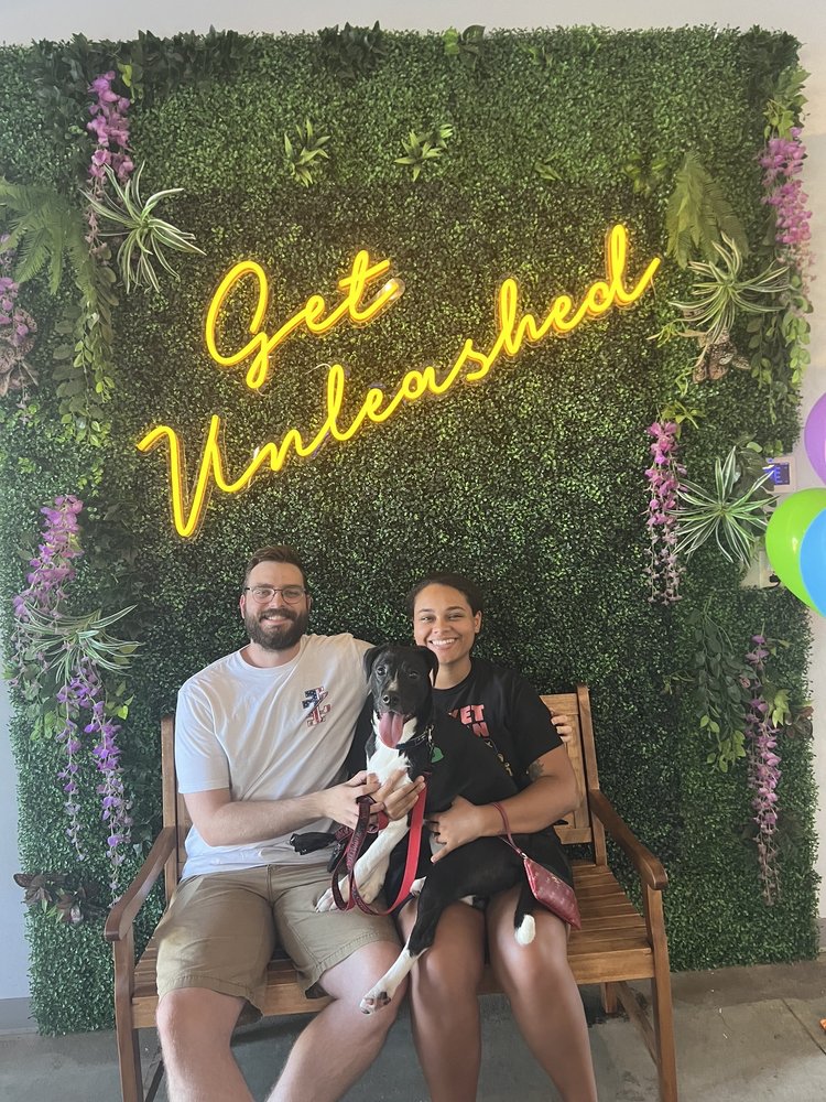 THE UNLEASHED DOG BAR - Updated January 2026 - 20 Photos & 29 Reviews ...