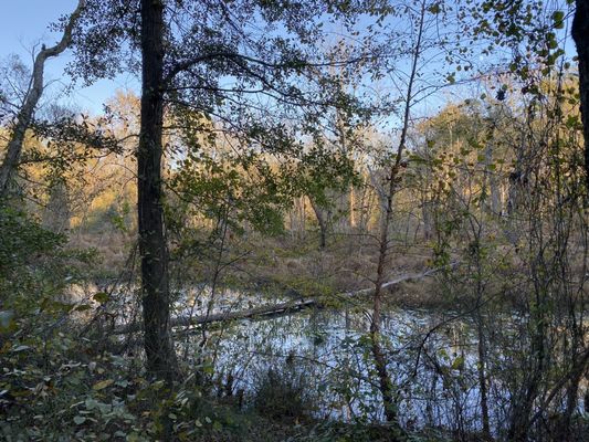 CONESTEE NATURE PRESERVE - 119 Photos & 30 Reviews - 840 Mauldin Rd ...