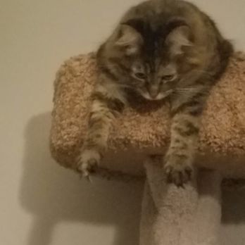 GREATER BIRMINGHAM HUMANE SOCIETY - Updated October 2025 - 50 Photos ...